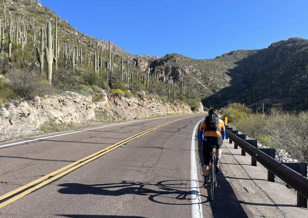 A Redo on Mount Lemmon • Another Mother Runner