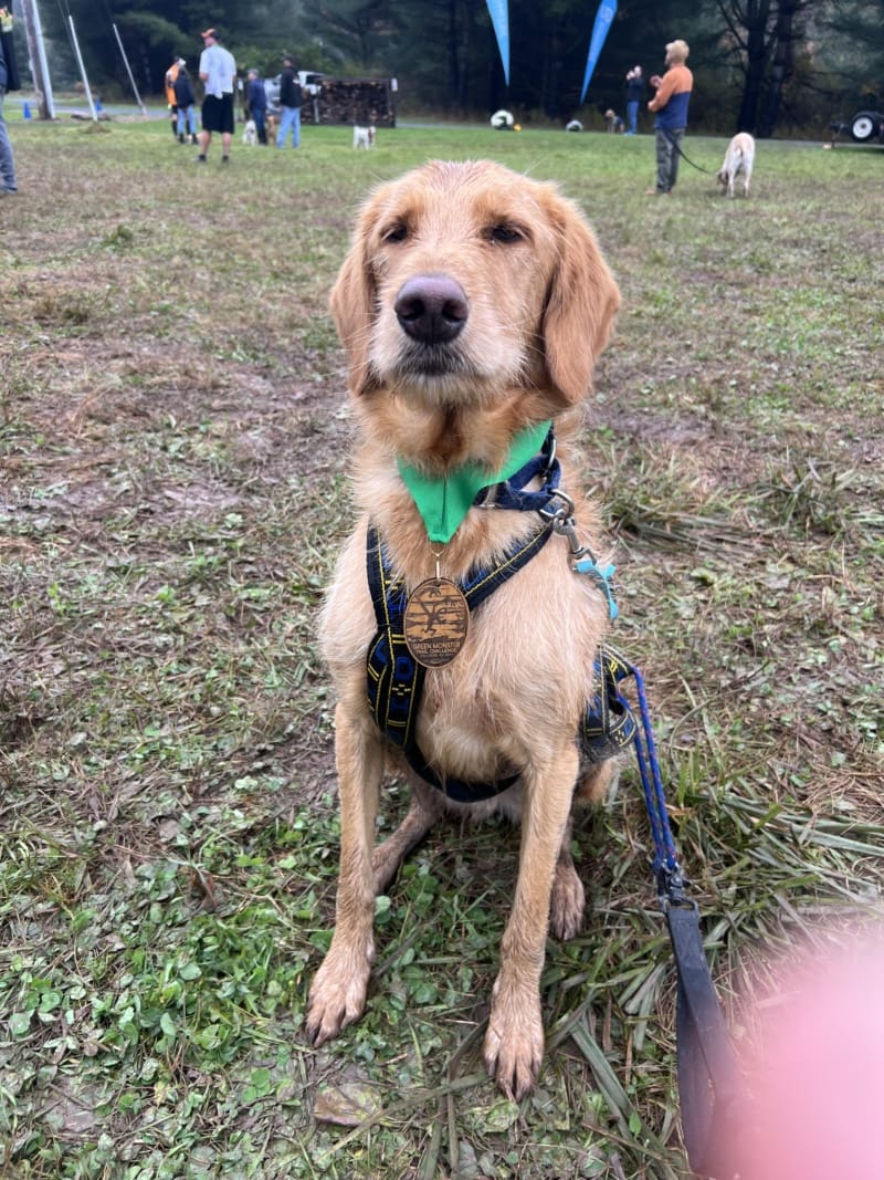 Many Happy Miles: Celebrating 2024 Achievements • Another Mother Runner